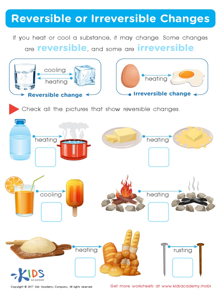 Grade 2 Reversible Irreversible Changes Worksheet | PDF