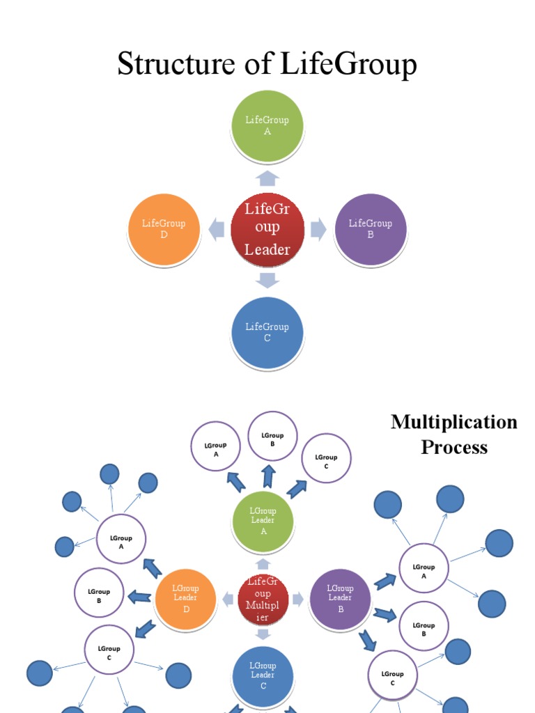 Structure of Lifegroup: Lifegr Oup Leader | PDF