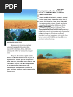 LionKingMovieEcologyassessmentWorksheetwithanalysisquestions-1 | PDF ...