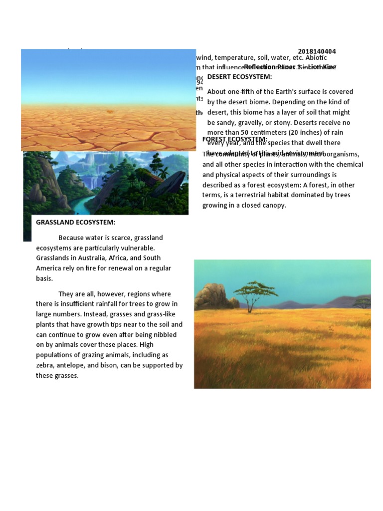 Juan Miguel Banzon 2018140404 ESE150-2/B1 Reflection Paper 1 - Lion ...