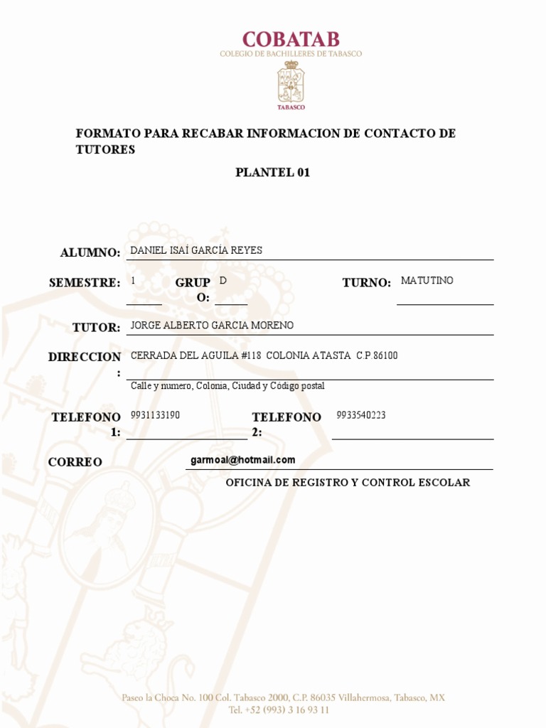 Formato 05-Para Tutores | PDF