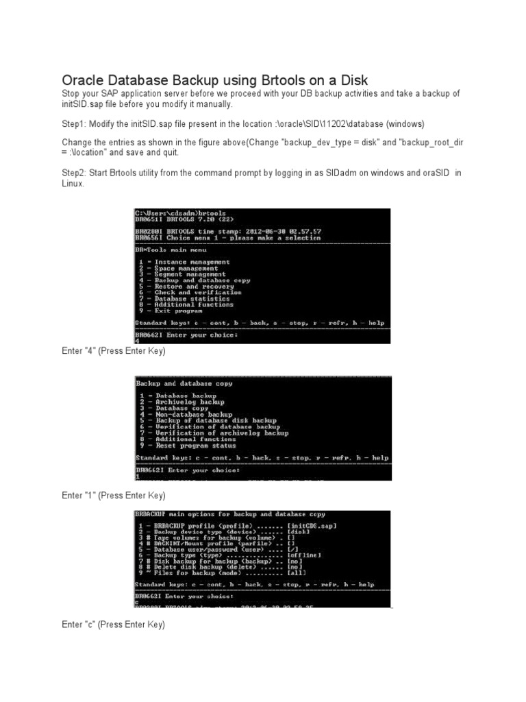 Oracle Database Backup Using Brtools On A Disk | PDF