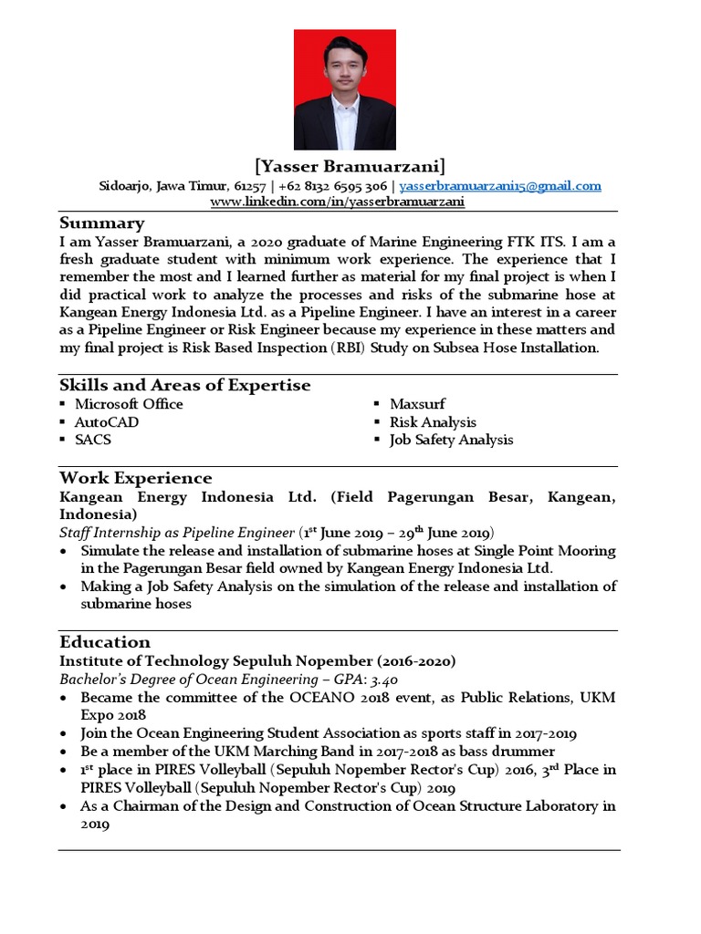 CV Yasser Bramuarzani | PDF
