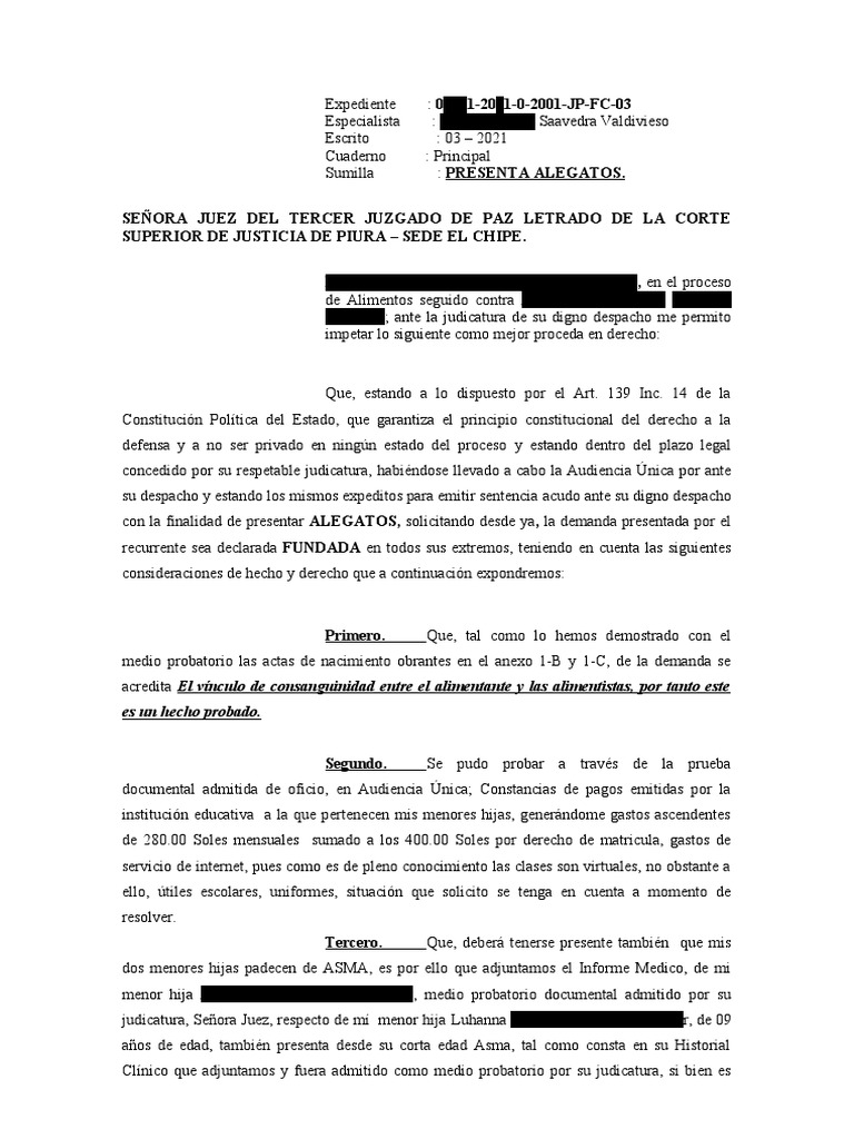 Presenta Alegatos Proceso Alimentos | PDF | Gobierno | Justicia