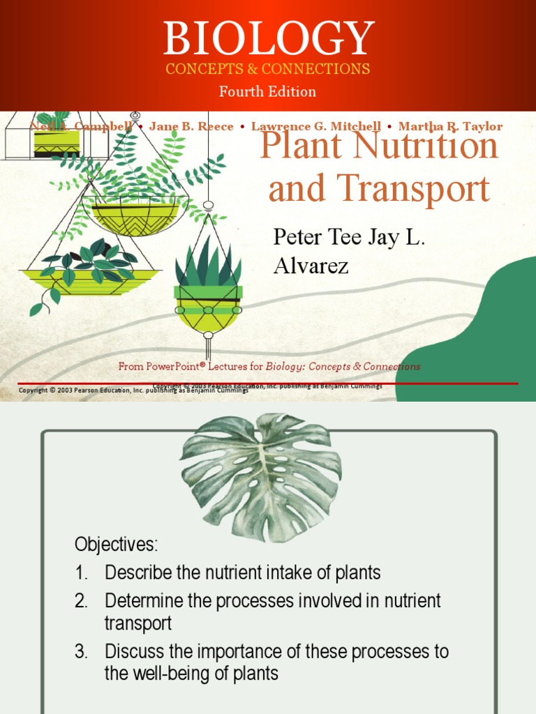 ALVAREZ Plant Nutrition and Transport | PDF | Stoma | Soil