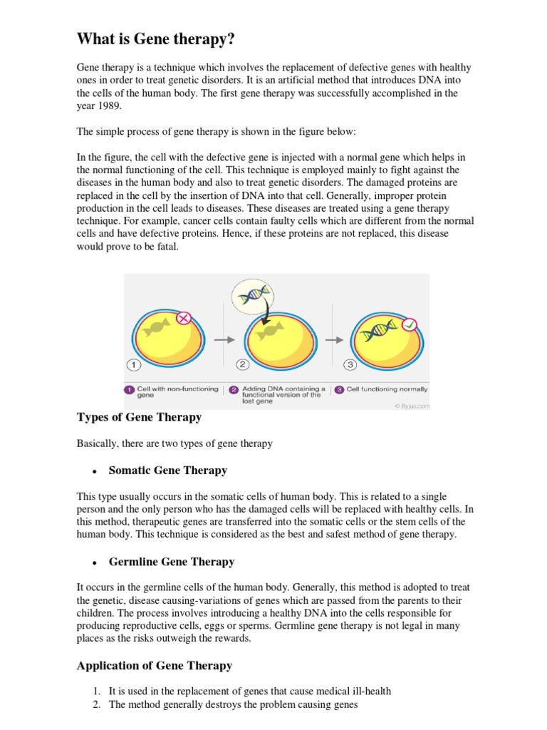 Germline Gene Therapy Diagram