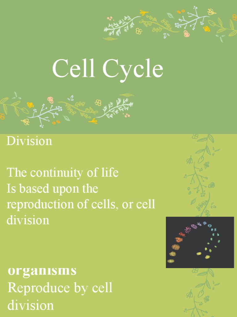 Chapter 12 Siklus Sel | PDF | Mitosis | Cell Cycle