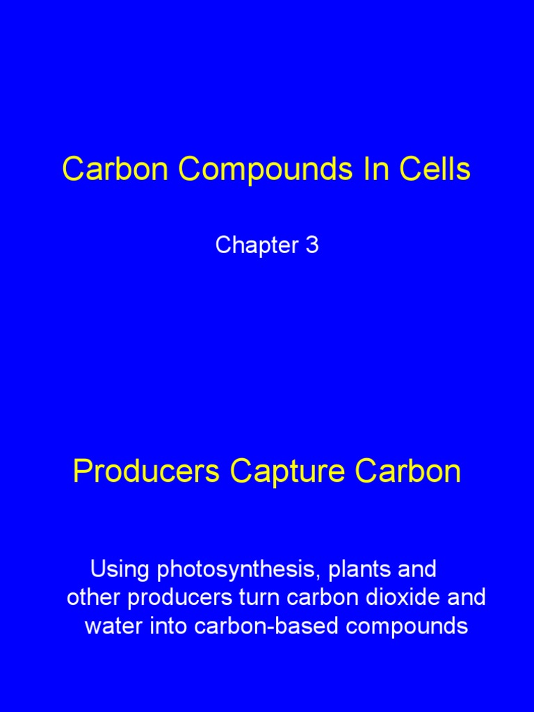 Carbon Compounds in Cells | PDF | Carbohydrates | Polysaccharide