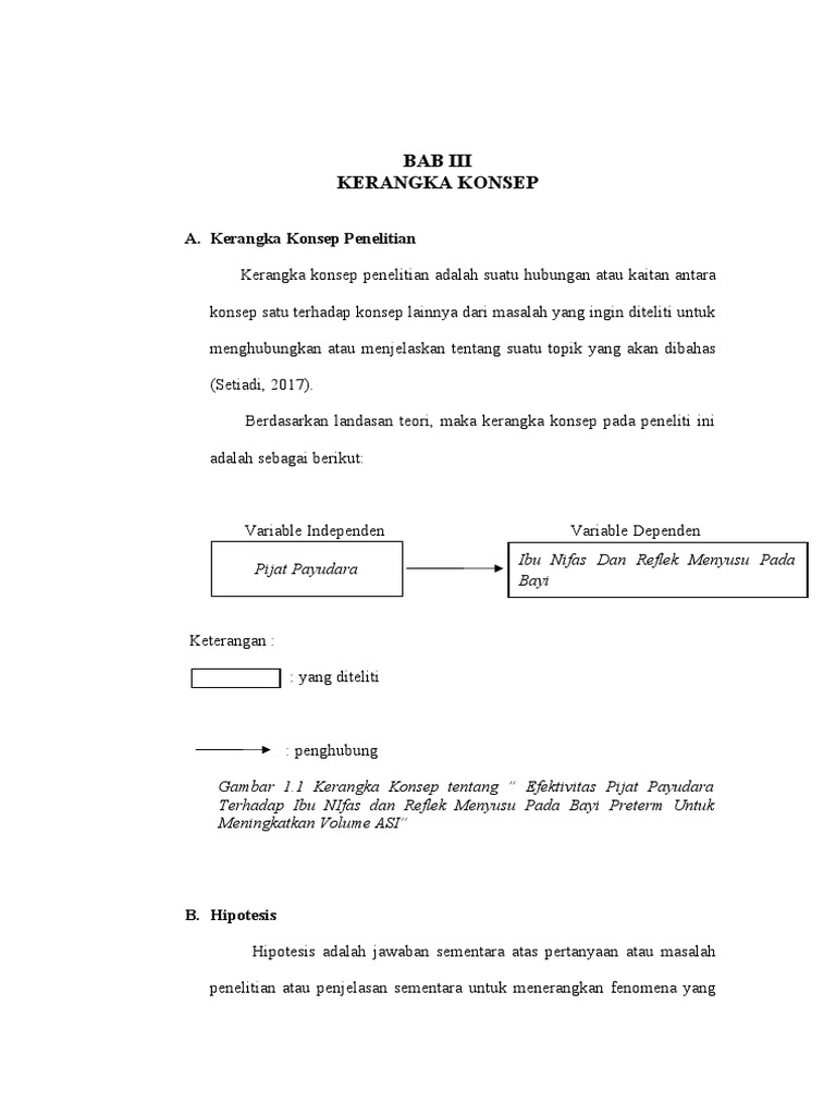 BAB III Kerangka Konsep | PDF