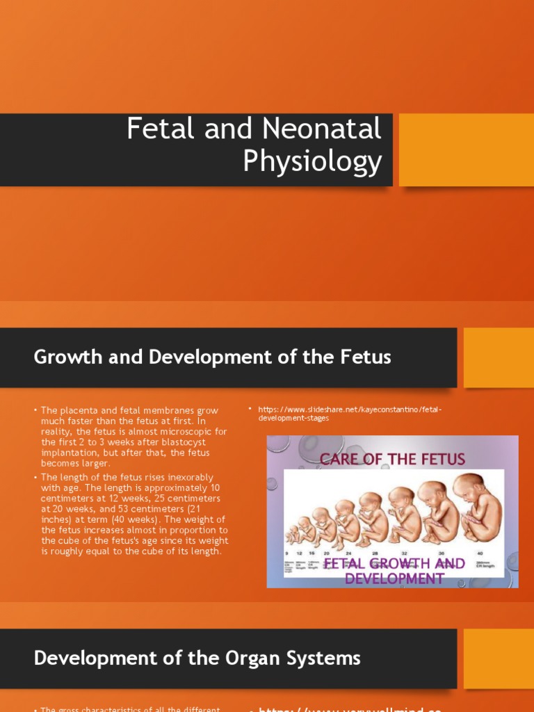 Fetal and Neonatal Physiology | PDF | Fetus | Blood