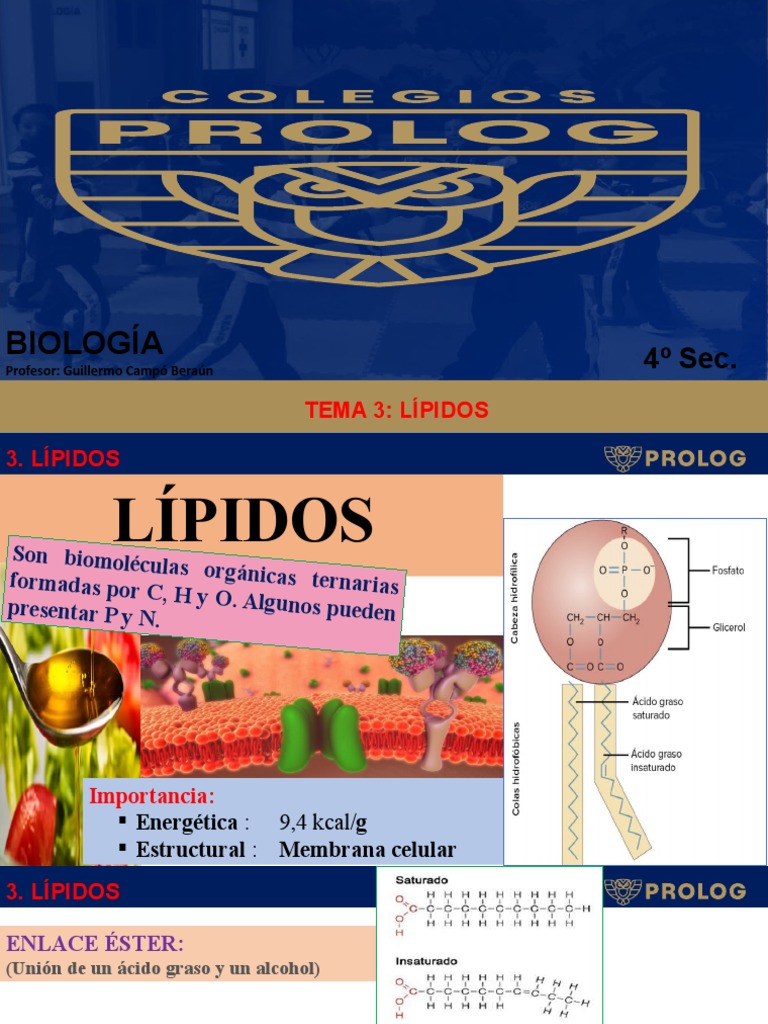 4° Tema 3 Lípidos | PDF