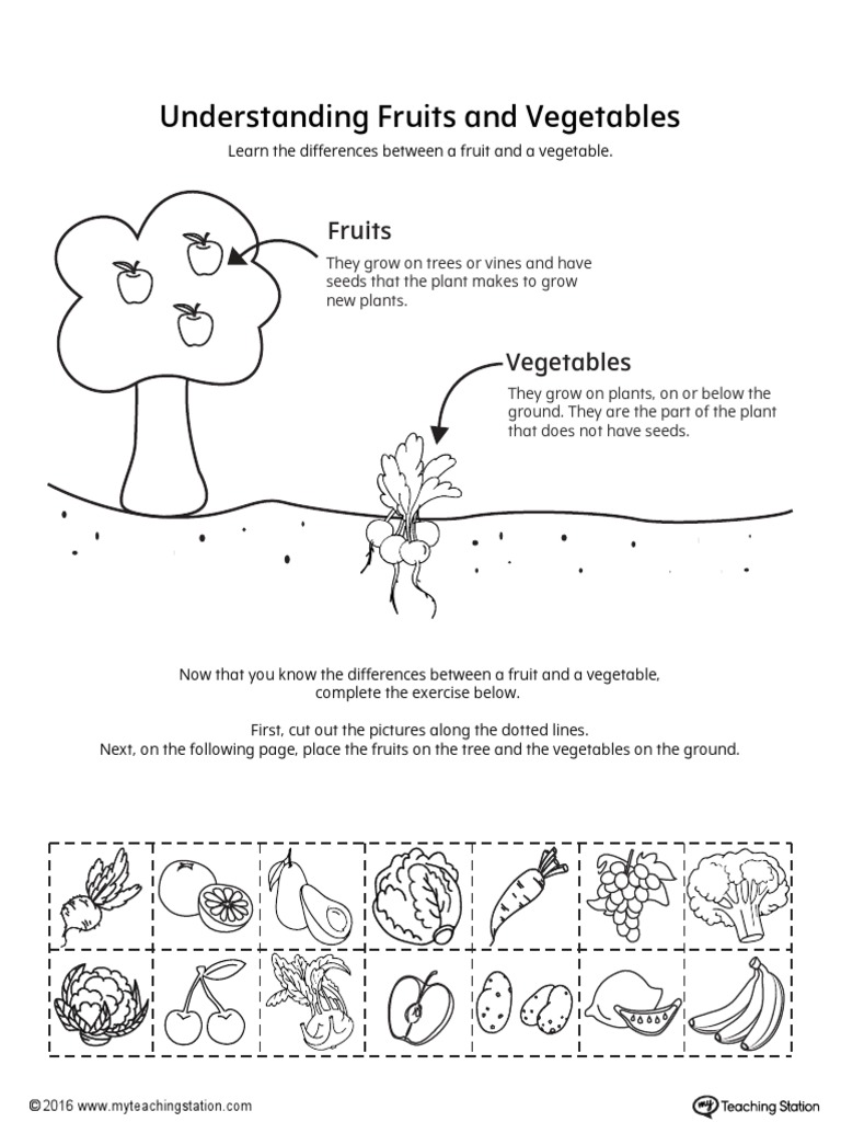 Understanding Fruits and Vegetables | PDF | Home & Garden