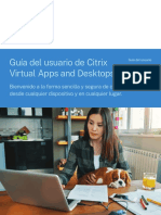 VDI Manual de Acceso (Walmart) | PDF