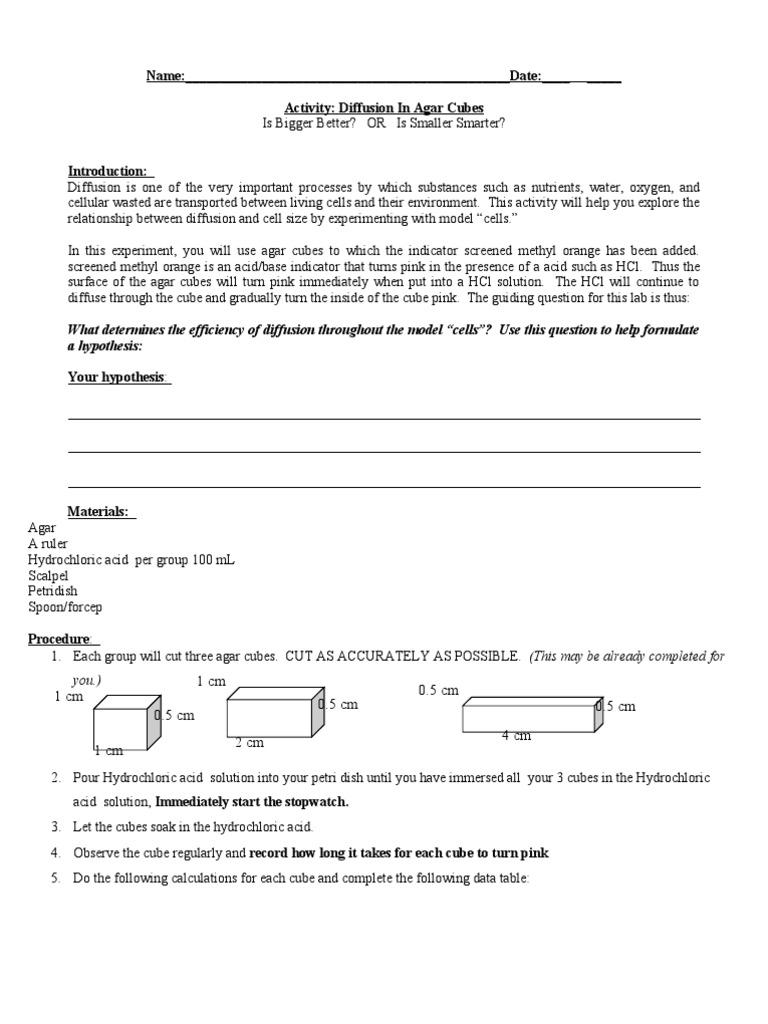 Agar Cube Diffusion Experiment Guide | PDF | Acid | Hydrochloric Acid