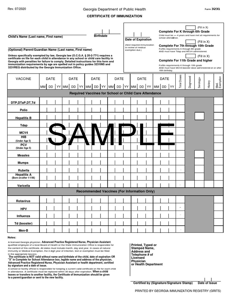 Georgia Immunization Form 3231 Guide | PDF | Health Sciences | Vaccination
