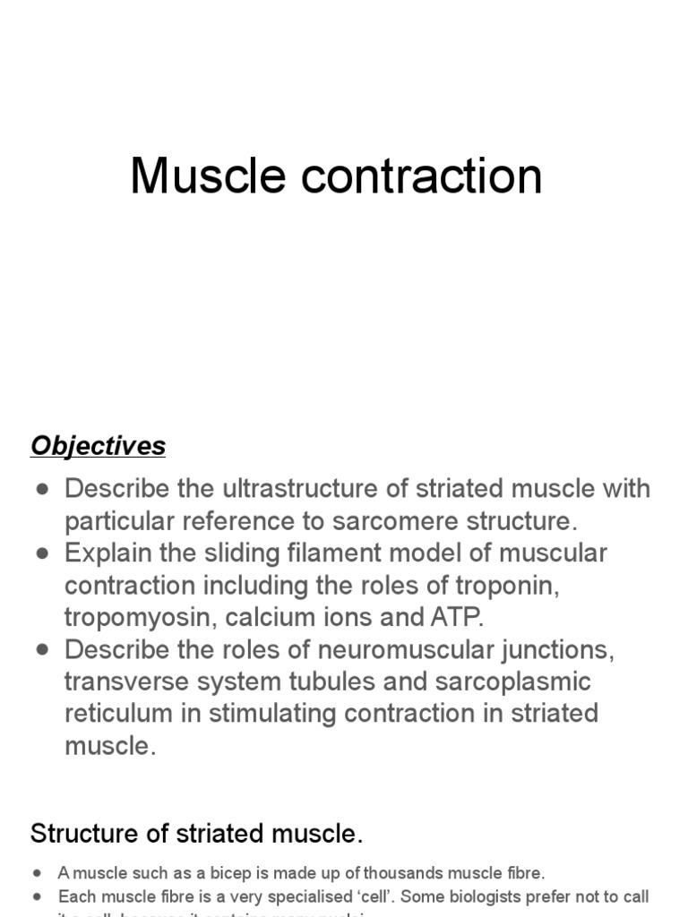 Muscle Contraction | PDF | Muscle Contraction | Skeletal Muscle