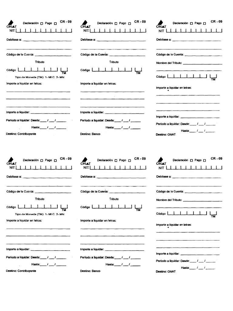 Modelo CR - 09 - Declaración de Pago (TM 1 - MLC o 2 - MN) - Onat | PDF