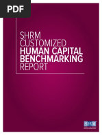 Josh Bersin Framework and Maturity Model | PDF | Benchmarking | Talent ...