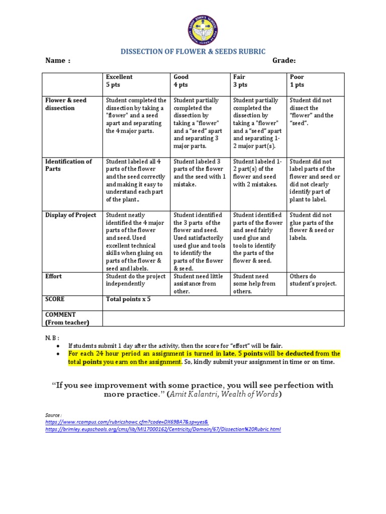 Rubric Dissection of A Flower and Seed Project | PDF | Rubric (Academic ...