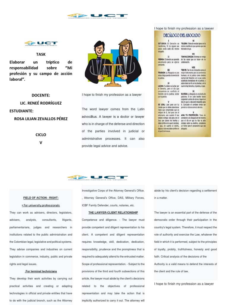 Lawyer Career and Field Guide | PDF | Profession | Lawyer