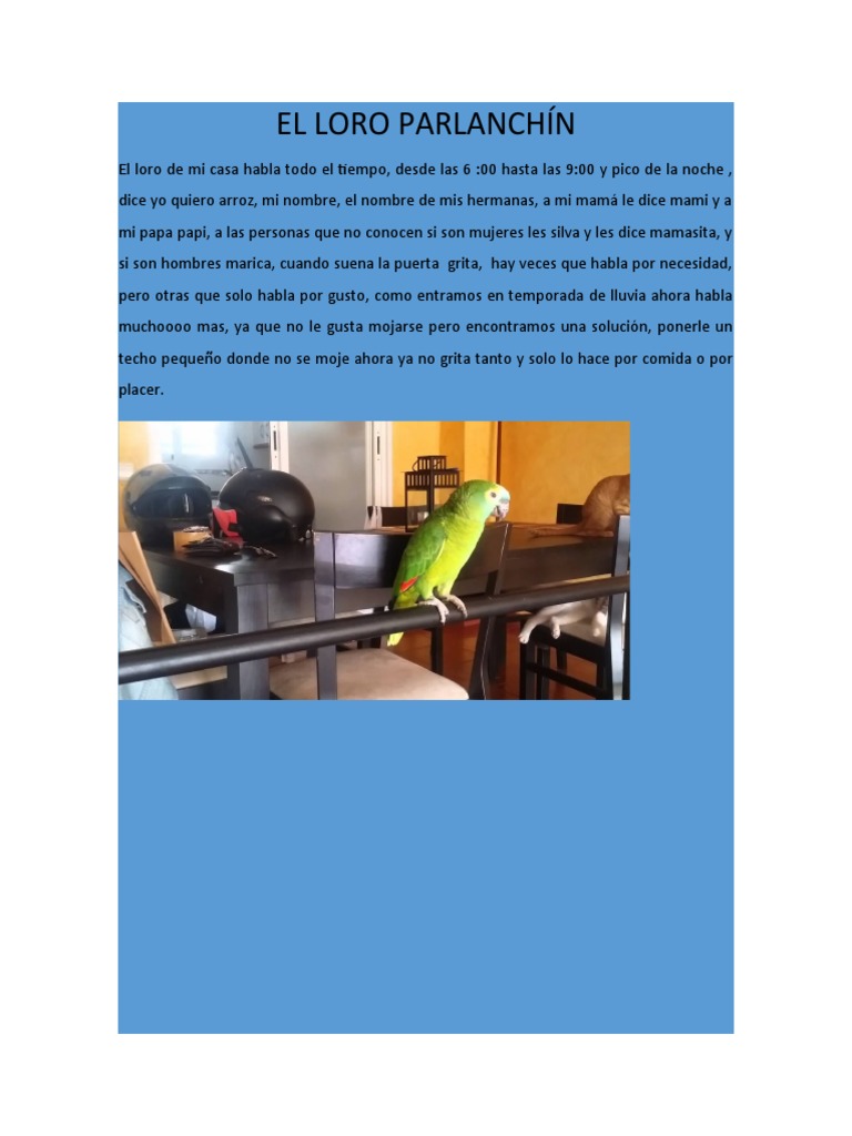 El Loro Parlanchín POESIA LHIA | PDF | Poesía