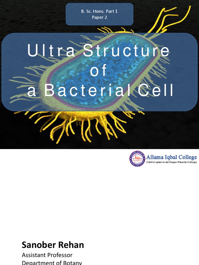 Ultrastructure of A Bacterial Cell | PDF | Cell (Biology) | Cell Membrane