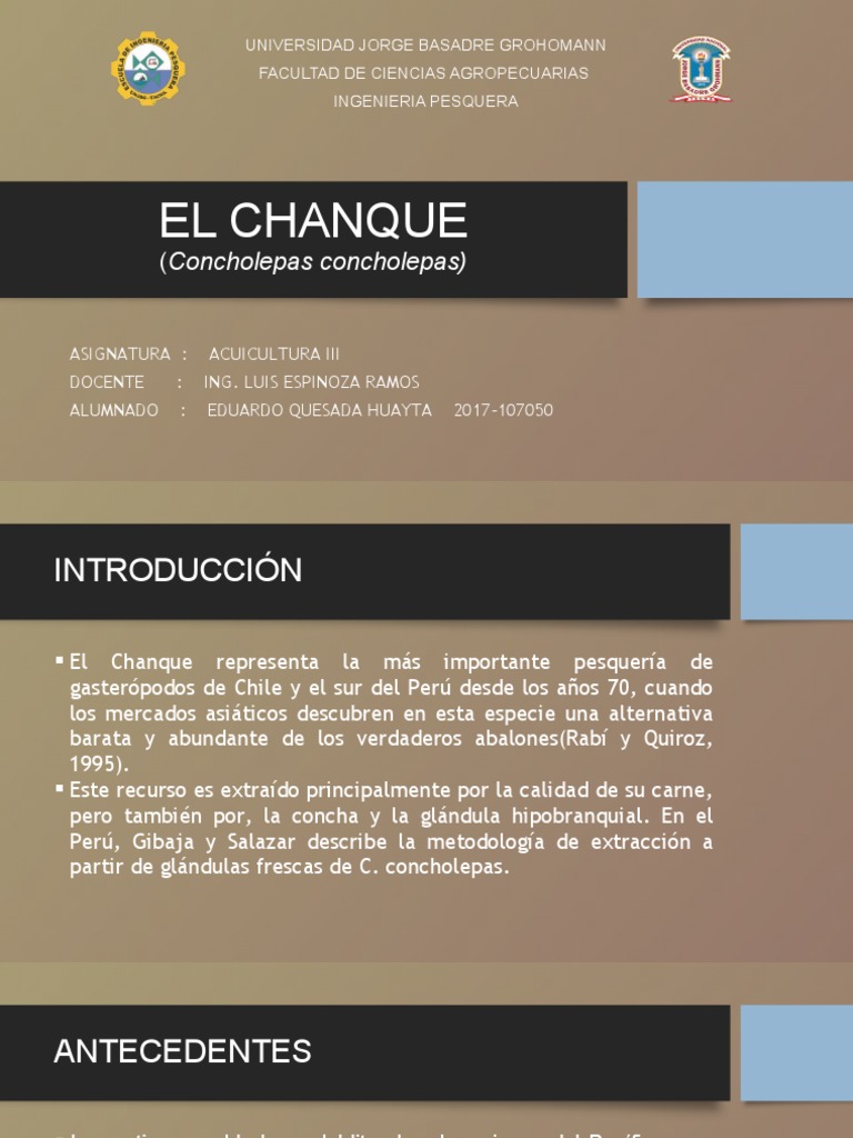 Chanque ACUICULTURA | PDF | Anatomía | Zoología