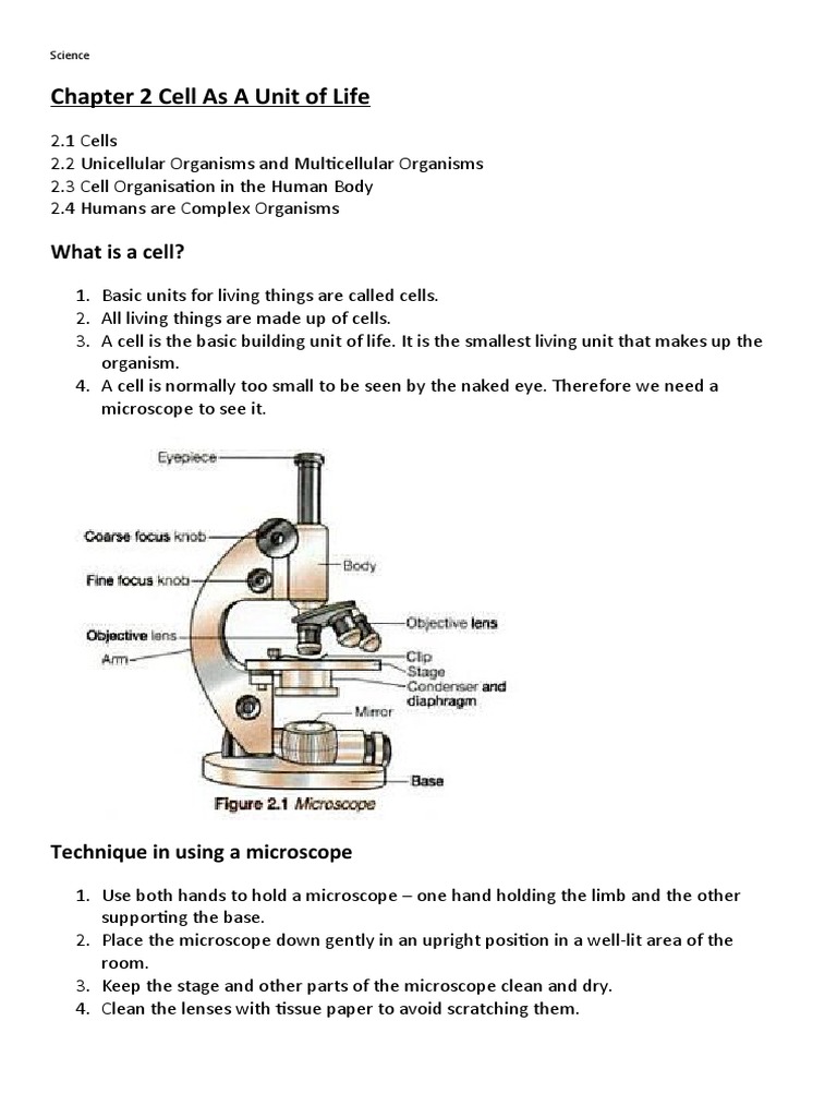 Science Form 1 Chapter 2 | PDF | Tissue (Biology) | Cell (Biology)