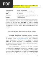 Modelo de Avenimiento Condonacion | PDF | Pensión alimenticia | Judicaturas