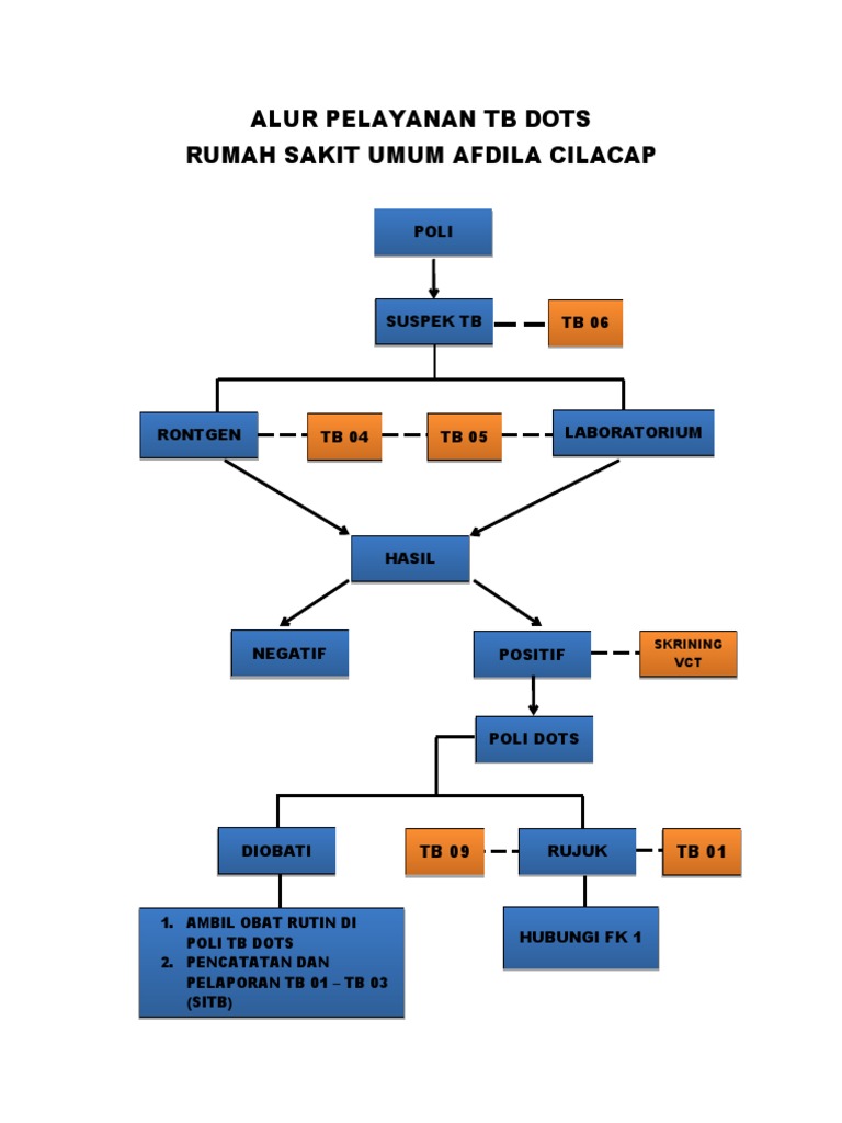 Alur Pelayanan TB Dots | PDF