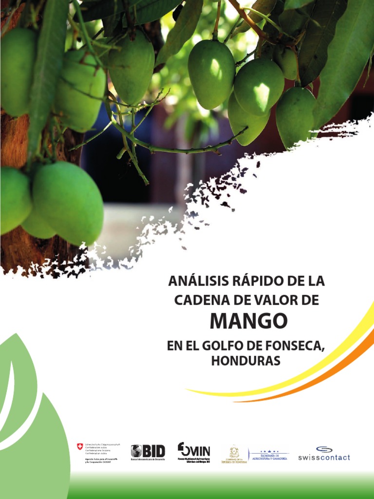 Analisis Del Mango Golfo de Fonseca | PDF | Mango | Honduras