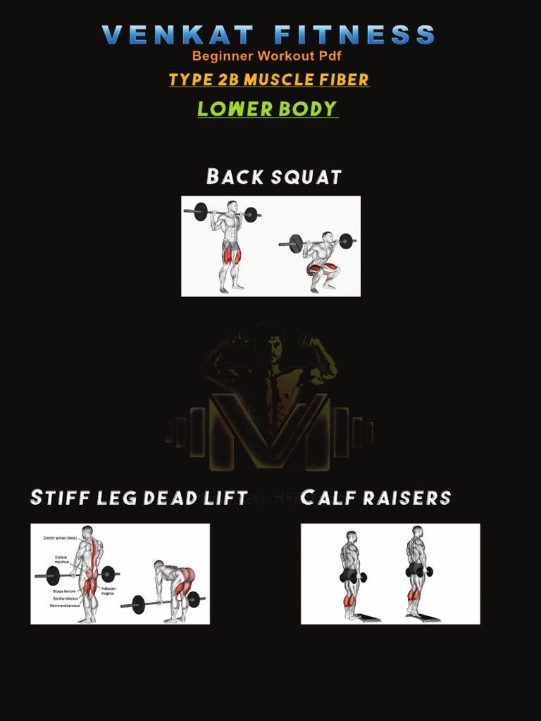 Full Body Workout Plan PDF | PDF