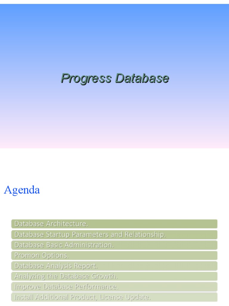 Progress Database | PDF | Databases | Server (Computing)