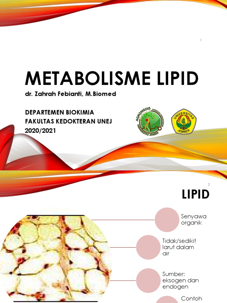 17 - Metabolisme Lipid | PDF | Sains & Matematika