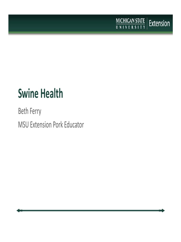Swine Health: Beth Ferry MSU Extension Pork Educator | PDF | Domestic ...
