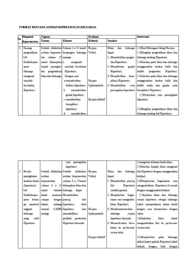 Format Rencana Asuhan Keperawatan Keluarga | PDF