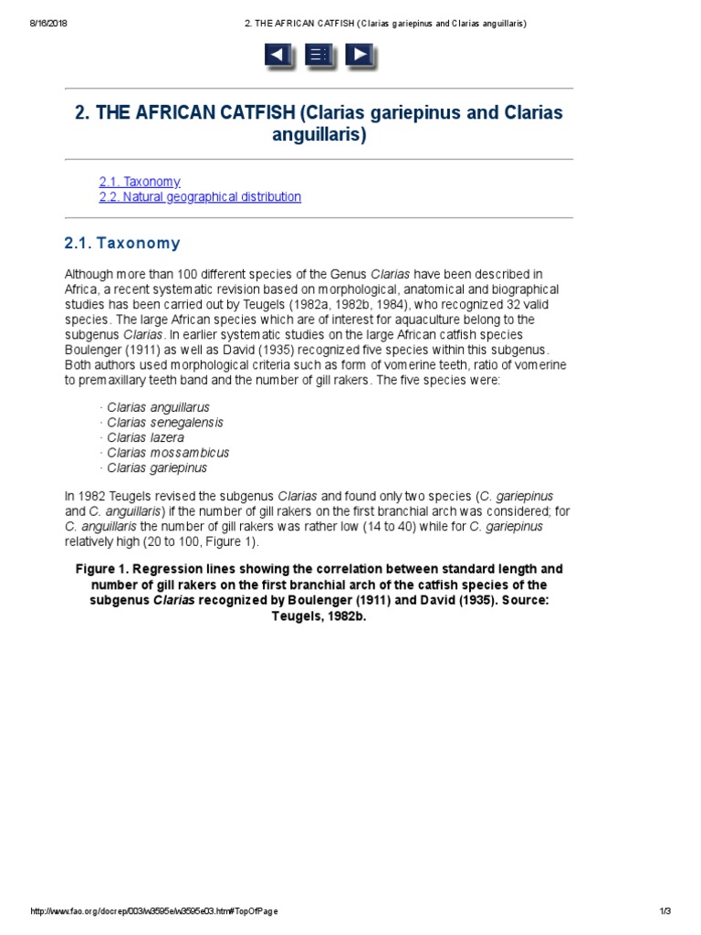 African Catfish Taxonomy Overview | PDF | Fish | Aquatic Animals