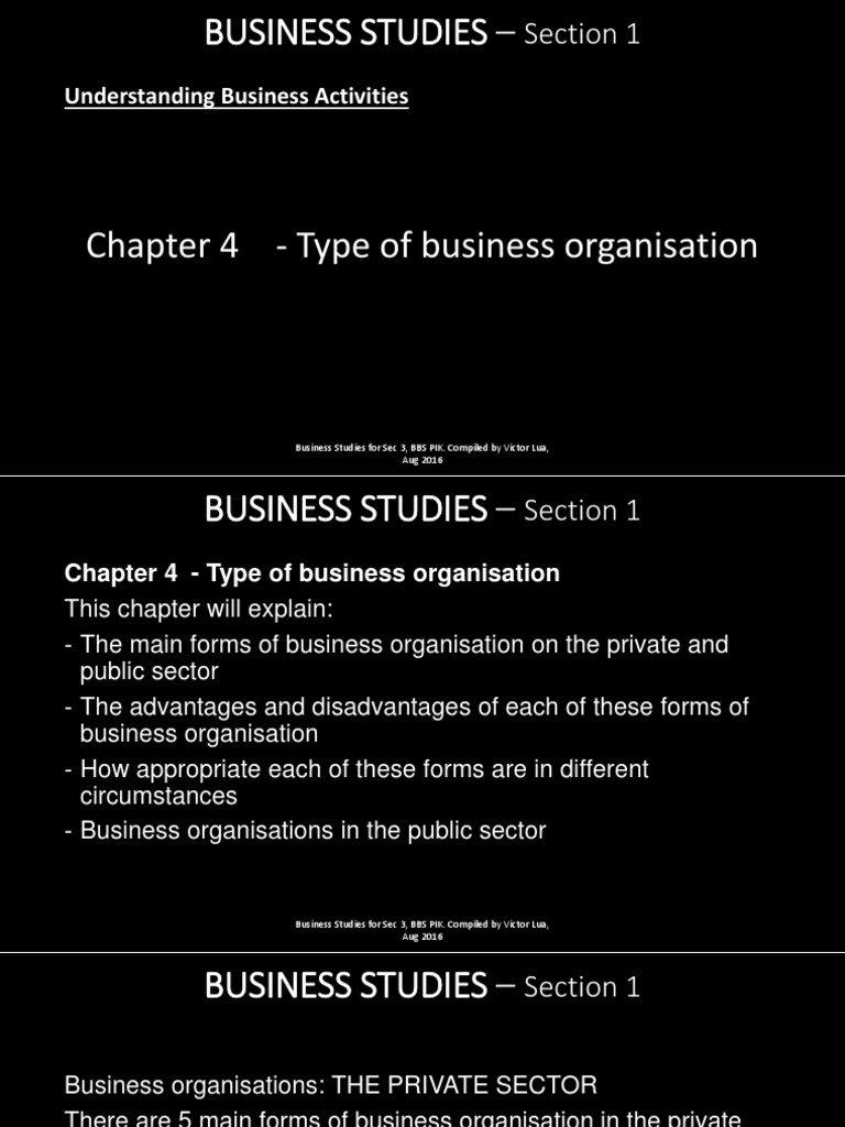 Chapter 4 - Types of Business Organisation | PDF | Franchising ...