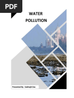 Water Pollution Case Study | PDF
