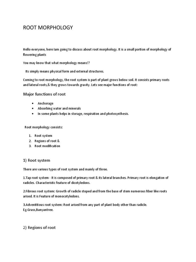 Root Morphology: Major Functions of Root | PDF | Root | Plants