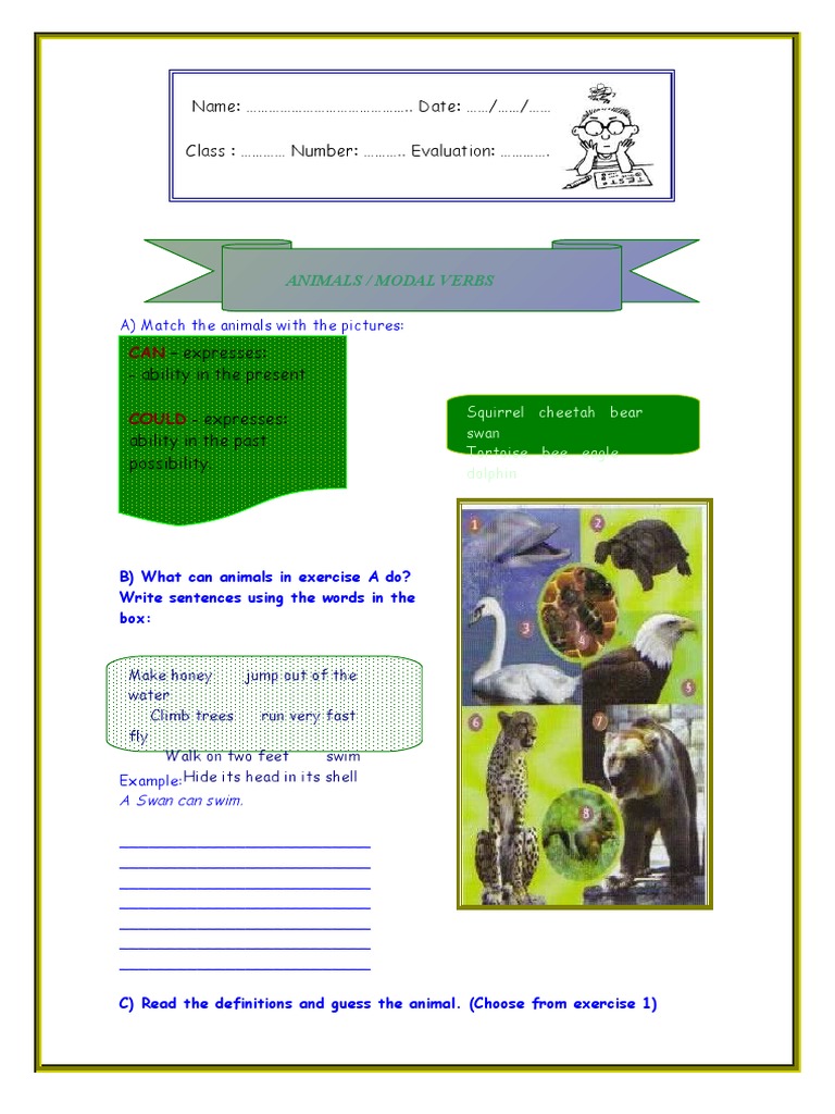 Animals Modal Verbs | PDF