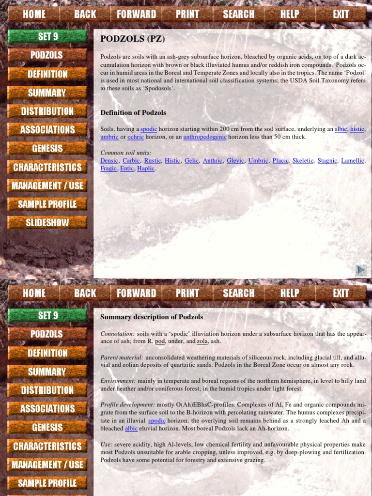 Podzol | PDF | Soil Science | Soil