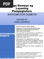 Mga Domeyn | PDF