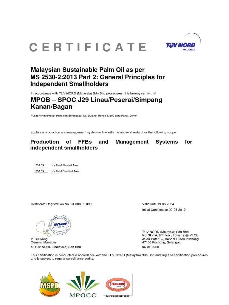 Certificate SPOC J29 Linau Special Audit Final | PDF | Business