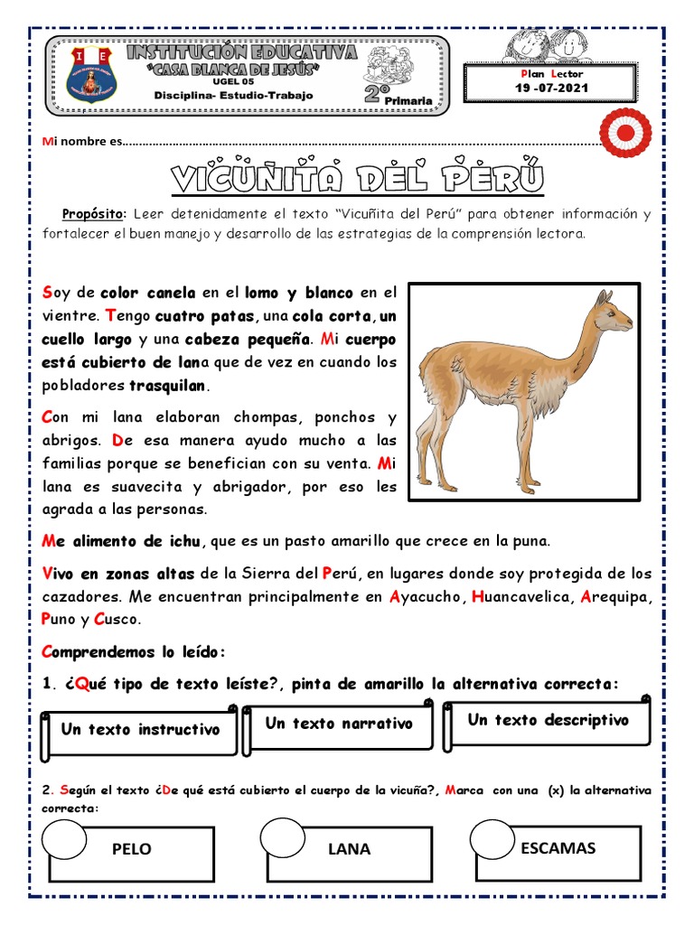 Fichas de Plan Lector para Segundo Grado | PDF