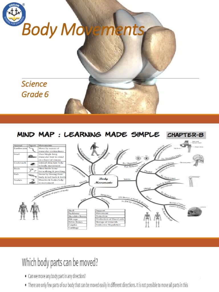 Body Movements | PDF