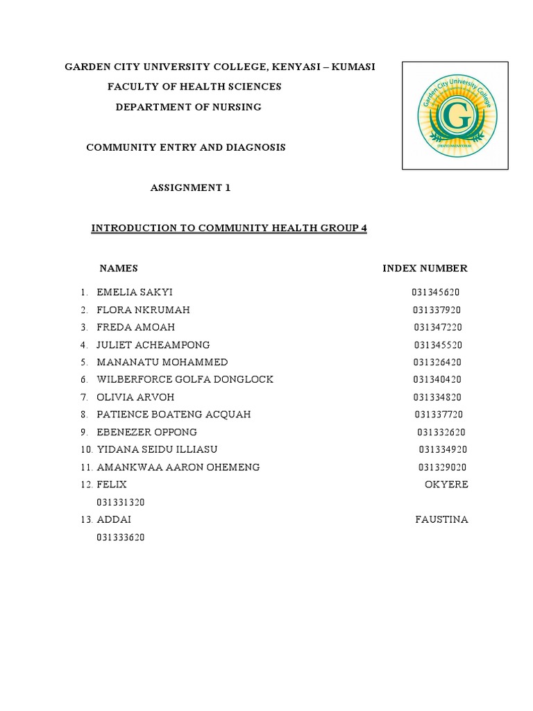 Community Profile Assignment Revised | PDF | Health Care | Health Sciences