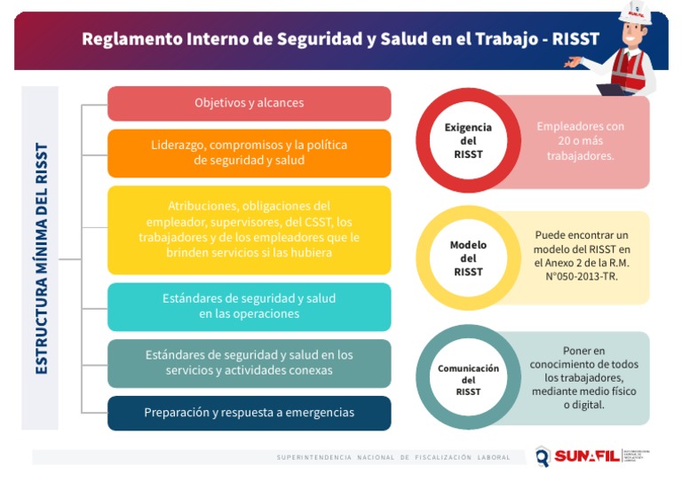 Infografia - Estrutura Del RISST | PDF