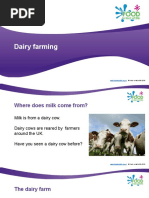 Introduction To Dairy Farming PPT 1114fcd | PDF | Dairy Cattle | Dairy ...