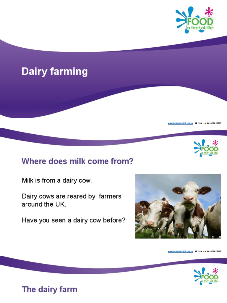 Dairy Farming PPT 57fcd | PDF | Dairy | Dairy Cattle